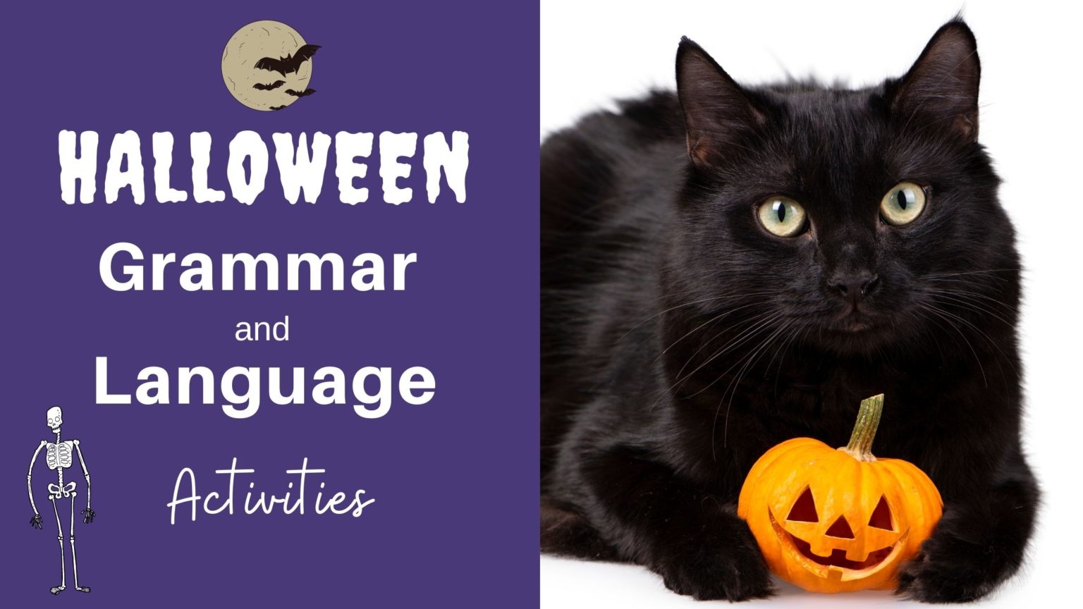 Real Cool English - ESL and ELA Teaching Resources