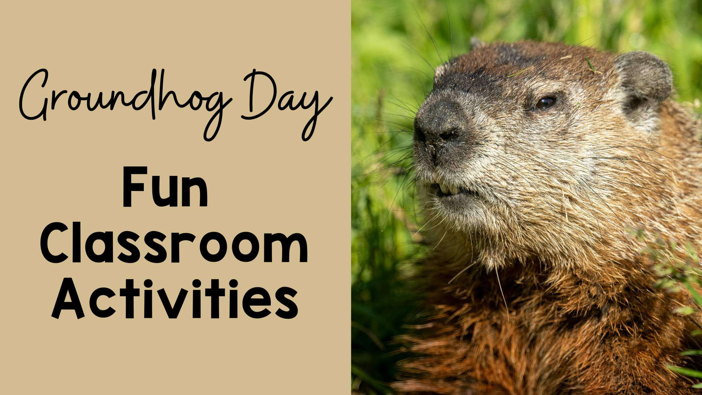 Groundhog Day Fun Classroom Activities