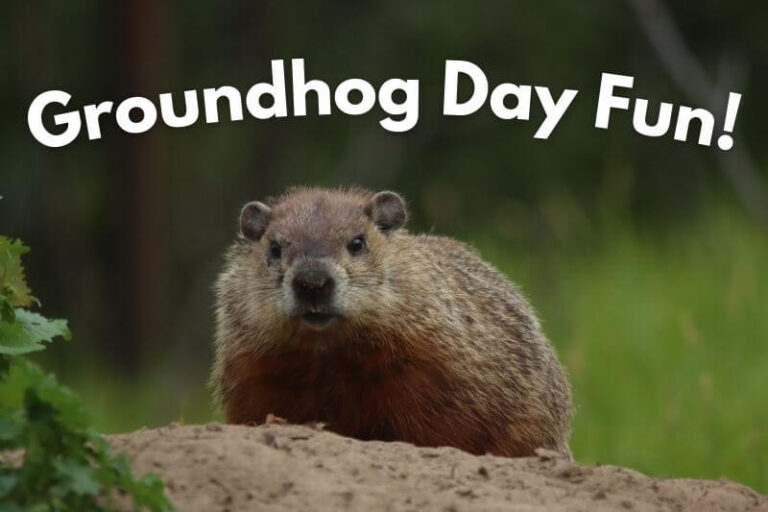 Groundhog Day Fun Classroom Activities